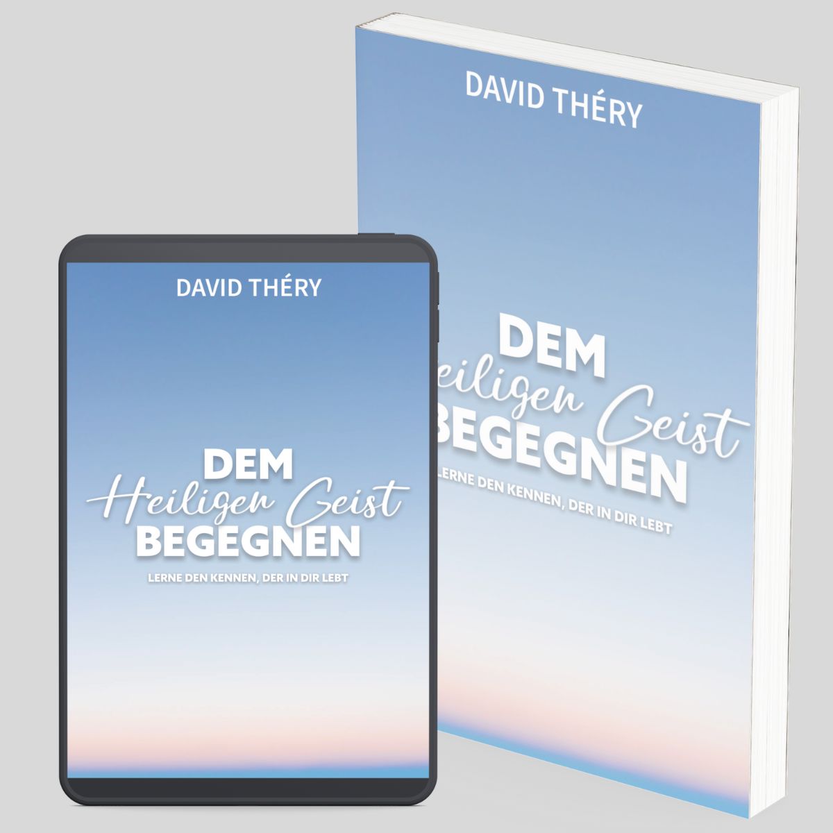 Dem Heiligen Geist Begegnen – David Théry Éditions EMSF