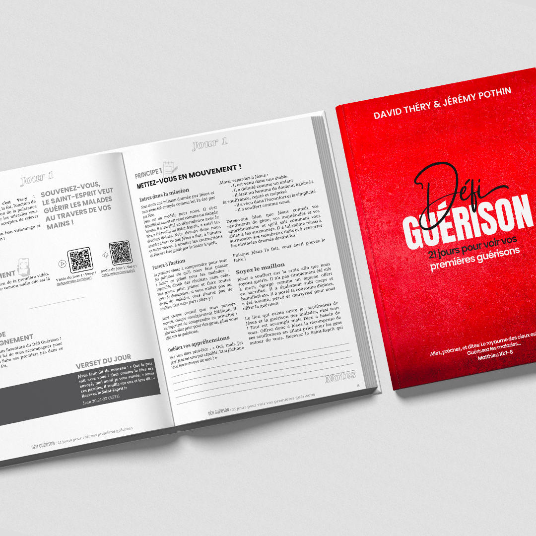 Défi Guérison- Livre papier - David Théry et Jérémy Pothin – David ...